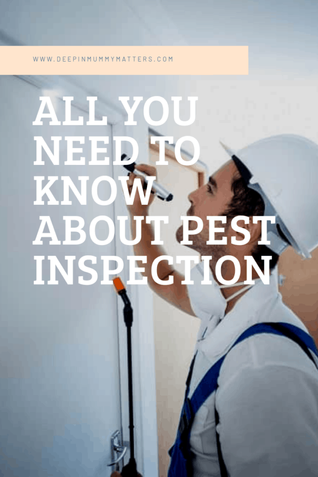 All You Need To Know About Pest Inspection - Mummy Matters: Parenting ...