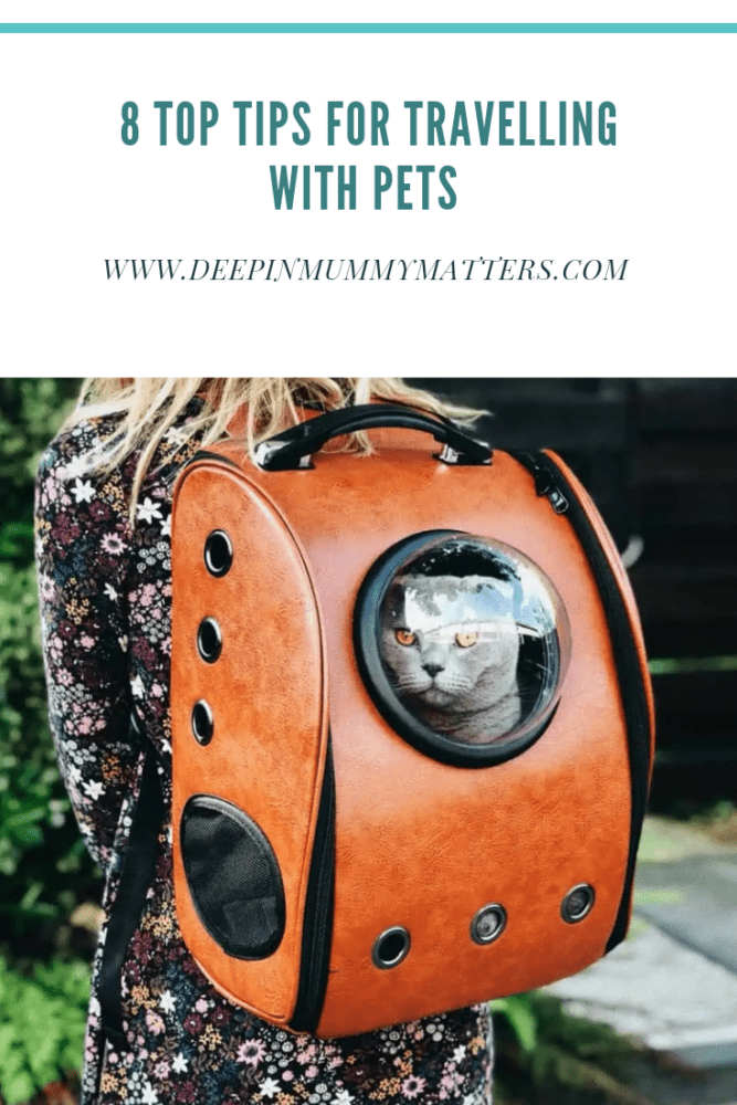 8 Top Tips for Travelling with Pets - Mummy Matters: Parenting and ...
