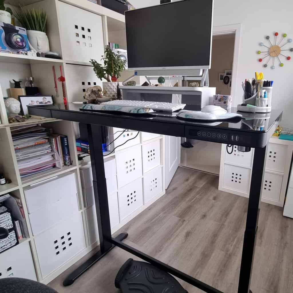 FlexiSpot Standing Desk with Programmable Height Presets - Mummy ...