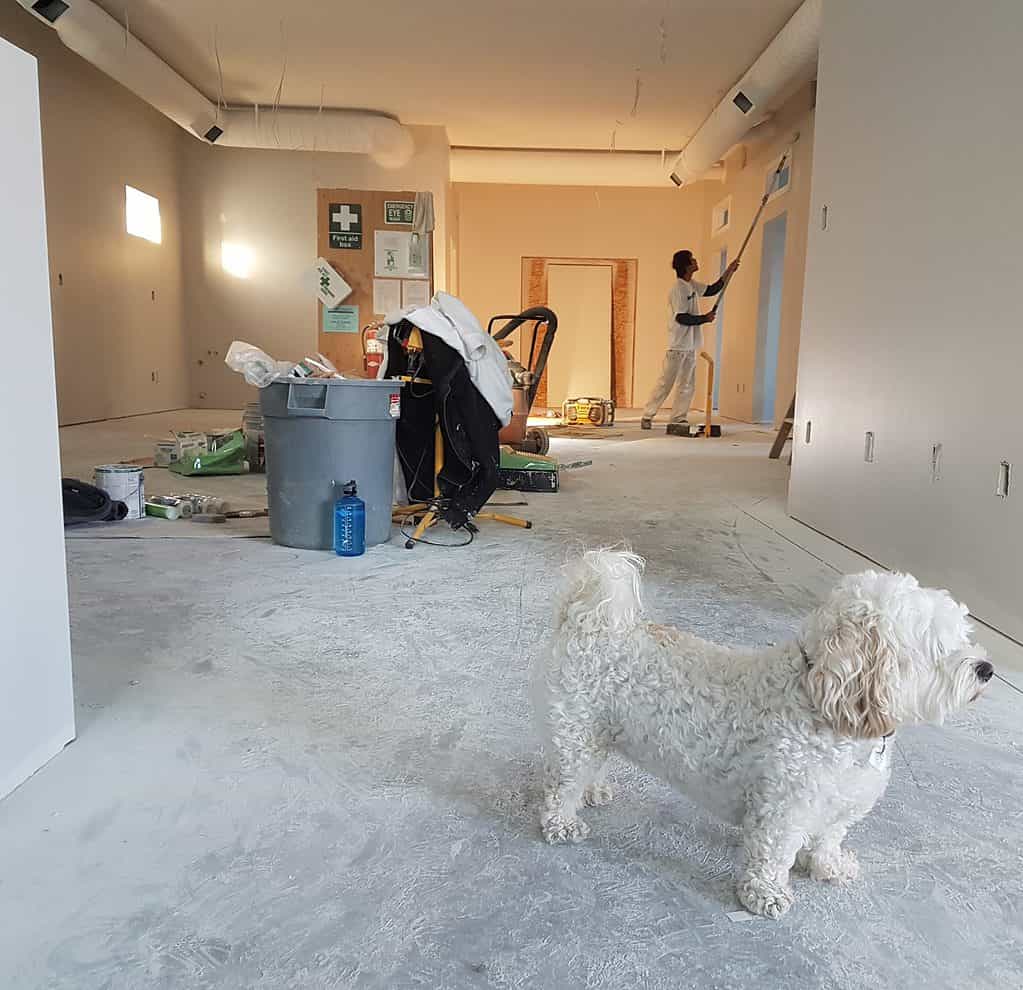 Renovating The House? Here's How To Clean Up After - Mummy Matters ...