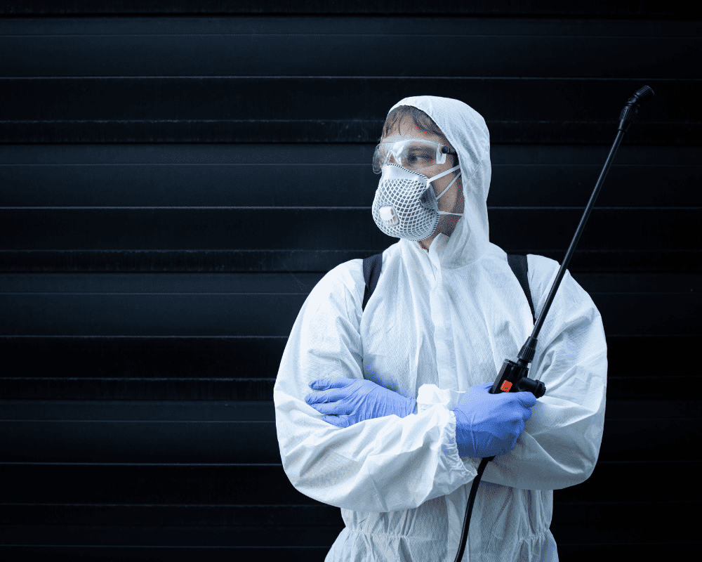 Top Pest Control Mistakes to Avoid: Lessons from Homeowners - Mummy ...