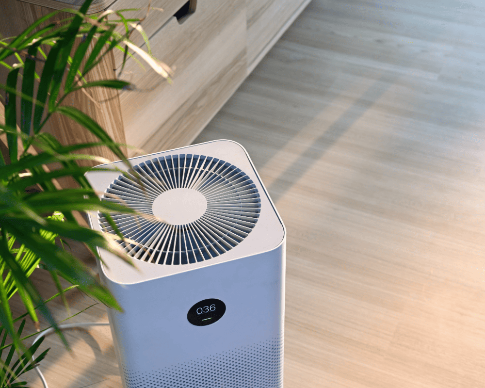 How To Choose The Best Air Purifier For Your Needs