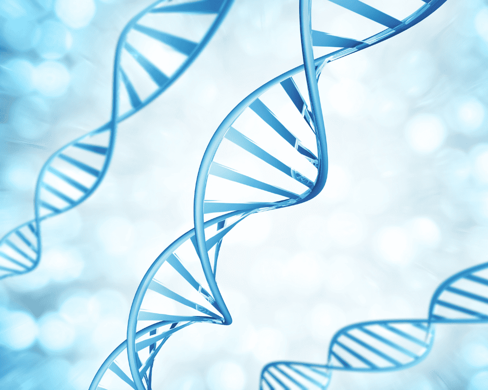 Exploring Nature vs Nurture Child Development - Mummy Matters ...