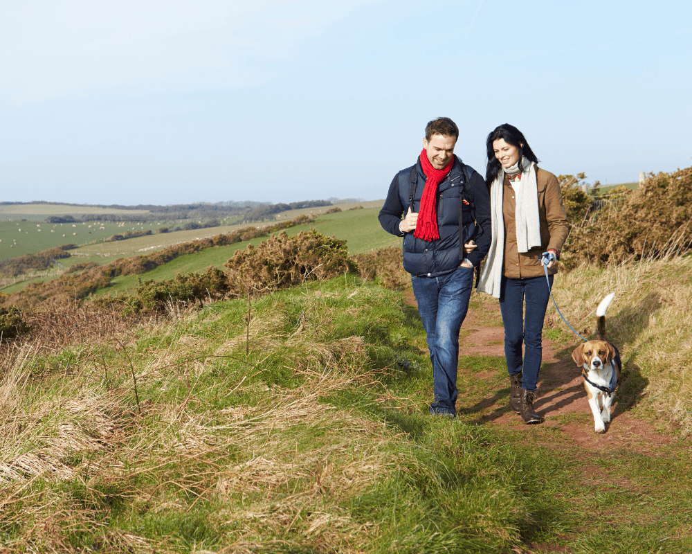 The 3 Best Outdoor Activities You Can Do With Your Dog - Mummy Matters ...