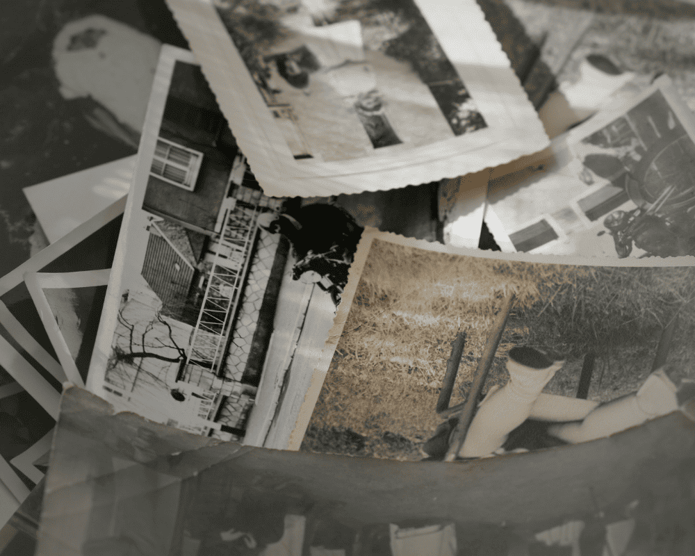 Collective Memory Facts: Unraveling Mandela's Impact - Mummy Matters ...