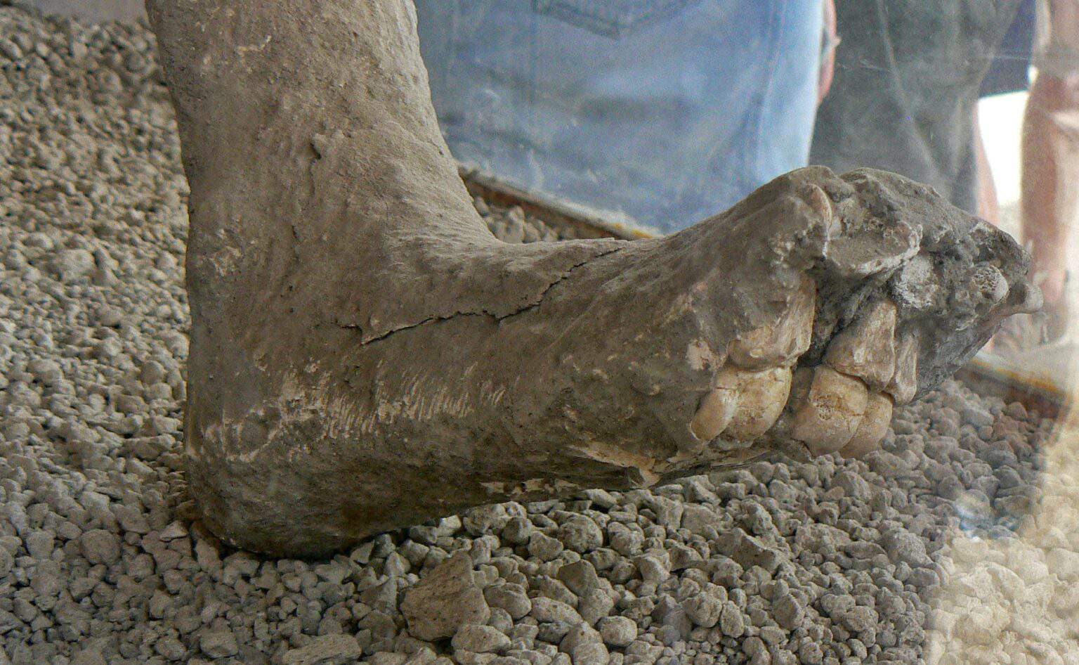 From Sorrento To Pompeii: A Fascinating Expedition Into Ancient History ...