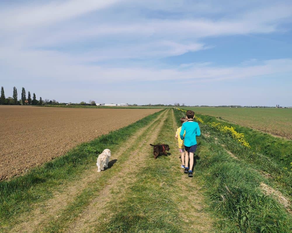 Tips To Boost Mental Health Awareness In Spring